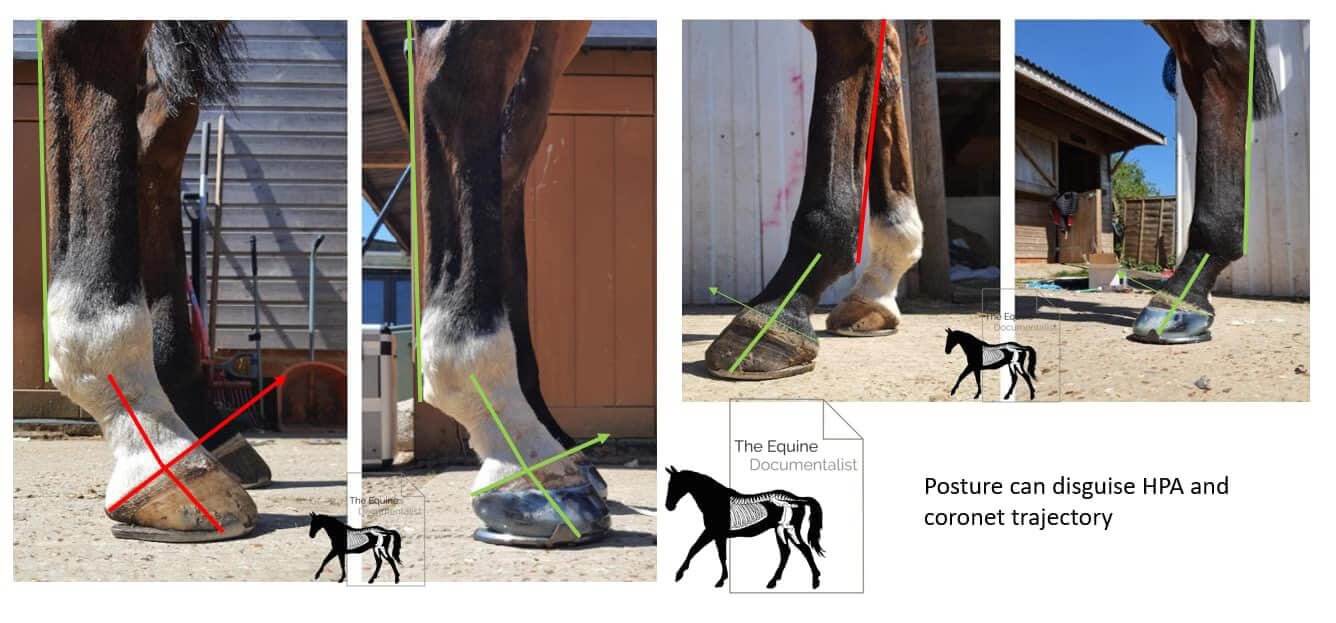 Negative Plantar Angle (NPA) by Yogi Sharp, Farrier, UK
