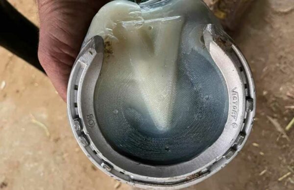 Thoroughbred Hoof Care - On and Off the Track