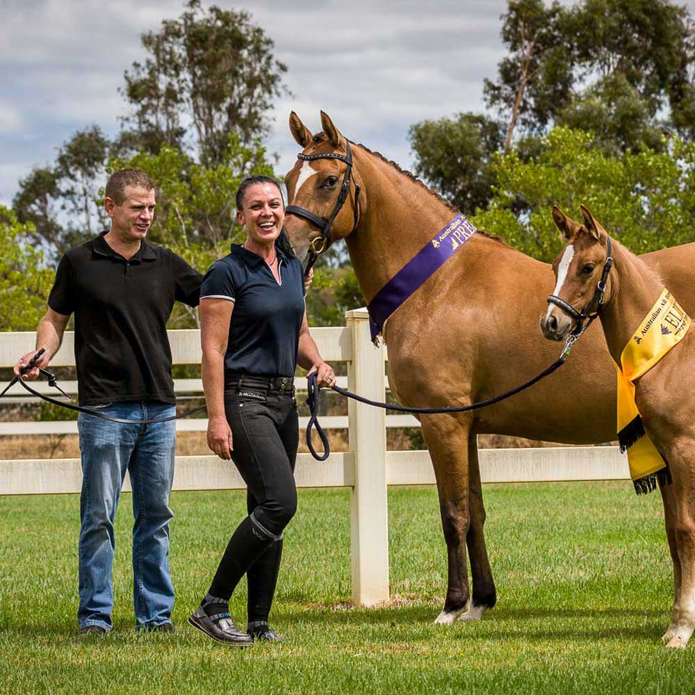 FormaHoof's Equine Blog: Expert Hoof Care Tips & Guides