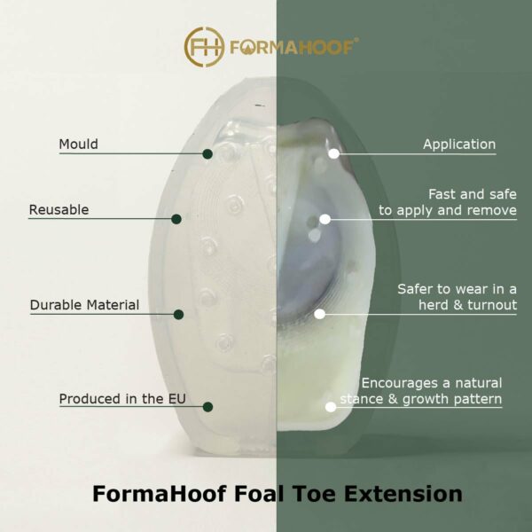 FormaHoof - Your Official Online Store For Equine Podiatry