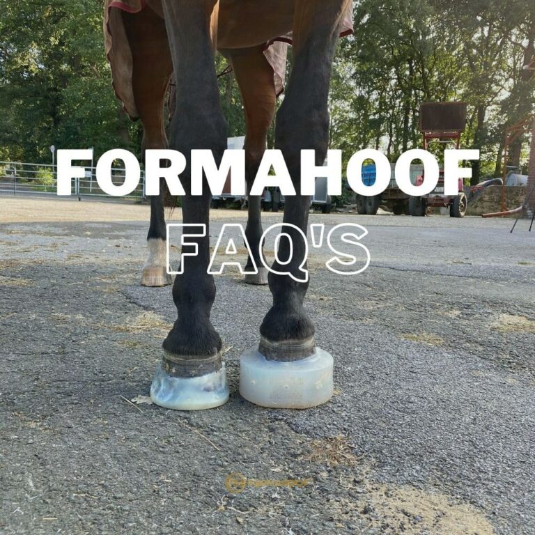 The Basics of Horse Hoof Angles Explained
