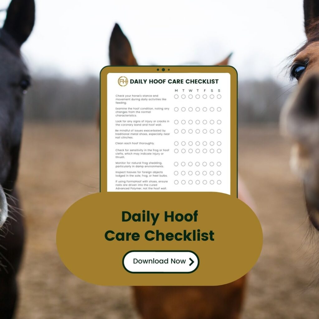 FormaHoof's Equine Blog: Expert Hoof Care Tips & Guides